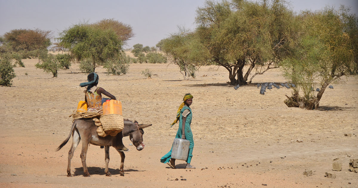 The Sahel in the midst of climate change. | e-mc2.gr
