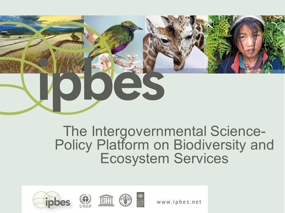 Intergovernmental Science-Policy Platform on Biodiversity and Ecosystem ...