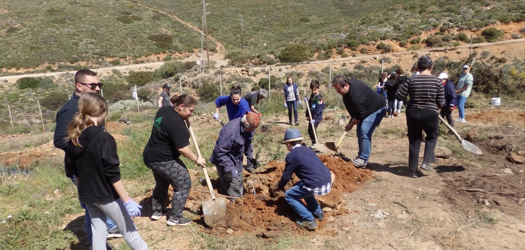 Φύτευση ελαιοδένδρων από το Σύλλογο "Λιναριά" Σκύρου για την ...