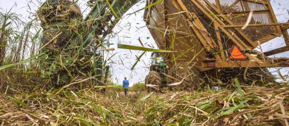 5 Things to Know About Atmospheric Methane Removal | e-mc2.gr