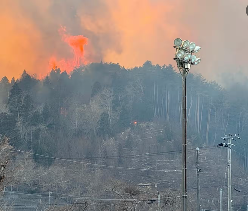 Japan battles largest wildfire in decades | e-mc2.gr