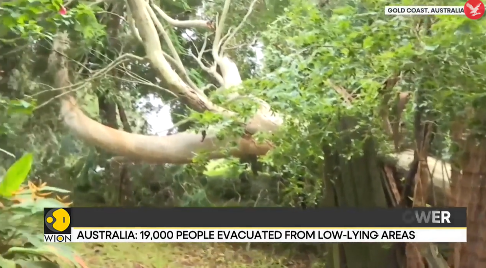 300,000 homes without power after ex-Cyclone Alfred leaves destruction ...