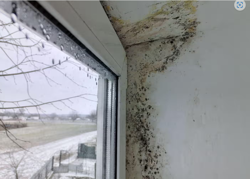 The Guardian view on social housing: invest boldly to tackle ‘simmering anger’ about substandard ...