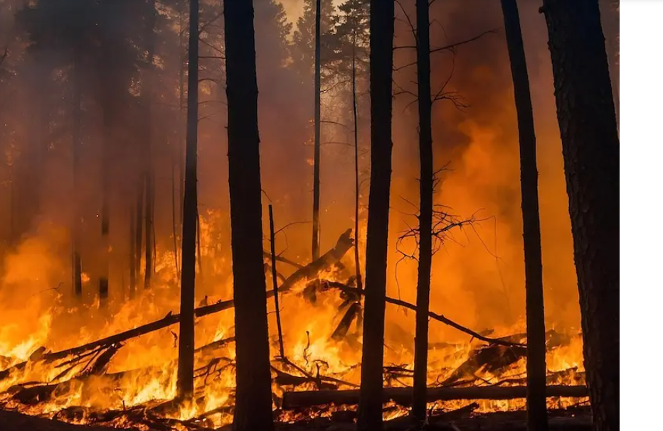 Early Heat Wave Driving Prairie Wildfires Was 5x More Likely Due to ...