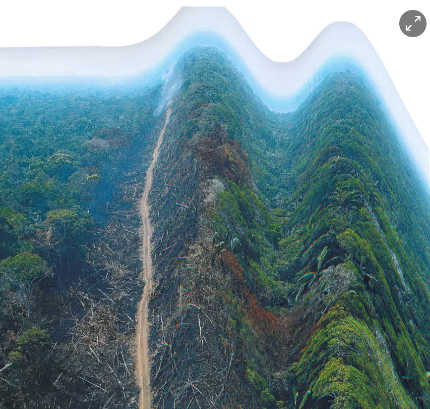 ‘We are perilously close to the point of no return’: climate scientist ...