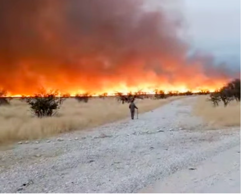 Namibia deploys army to fight wildfire burning third of Etosha game ...