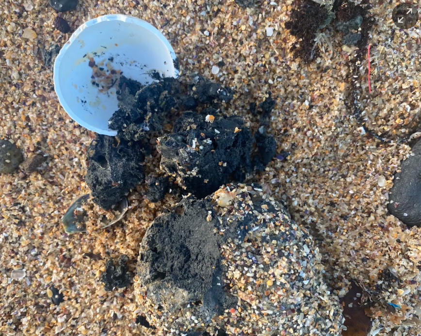 New poo balls on Sydney beaches after revelation of huge fatberg stuck ...